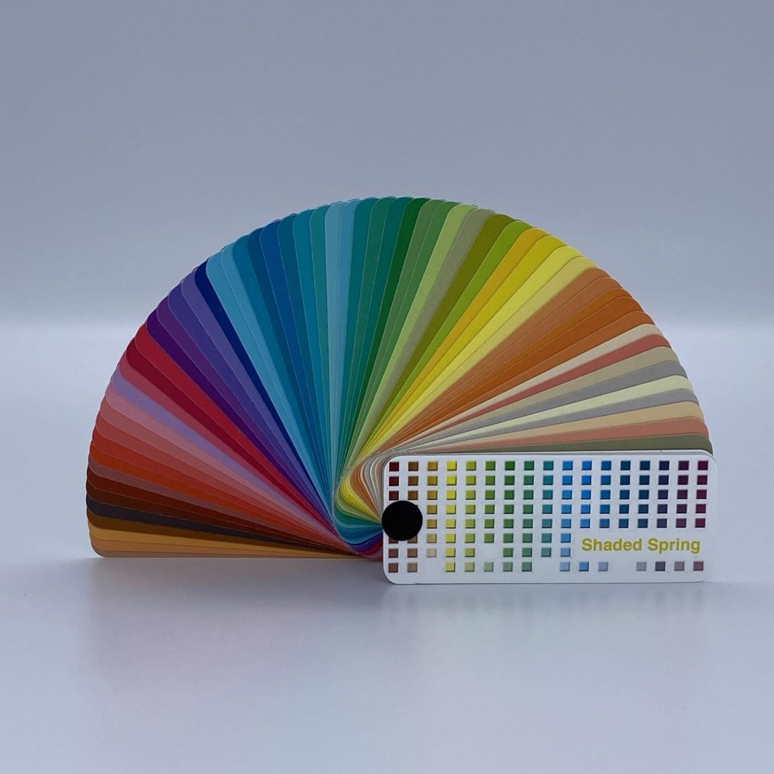 4X4 Shaded Spring Color Swatch - ByFERIAL Image & Color Institute