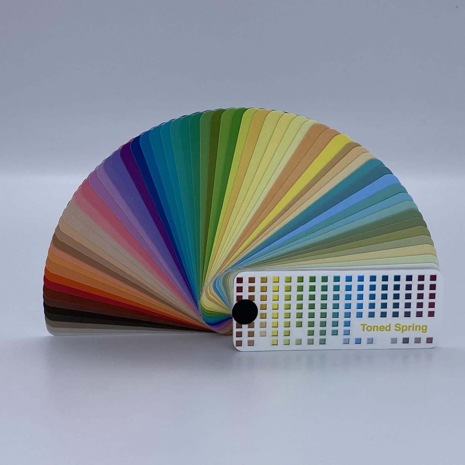 4X4 Toned Spring Color Swatch • ByFERIAL Image & Color Institute